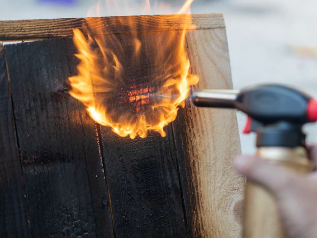 Disciplinar | Processo disciplinar contra funcionário público